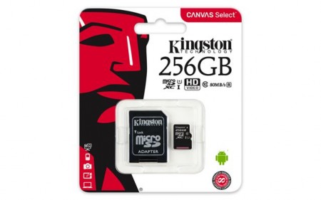 KINGSTON 256GB + SD adapter SDCS256GB