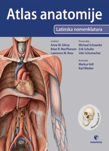 Atlas anatomije – Gilroy