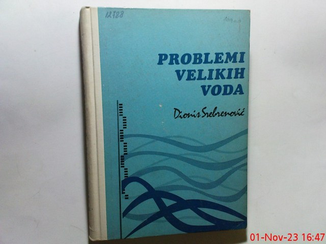 DIONIS SREBRENOVIC -  PROBLEMI VELIKIH VODA