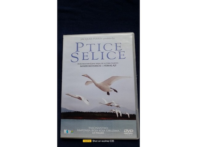 DVD PTICE SELICE