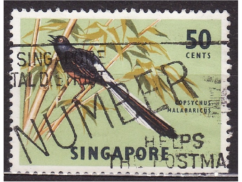 Singapur - ptica