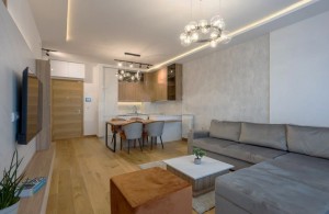 Iznajmljujem Stan-Apartman, Blok 65, Beograd Grad