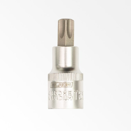 Blade gedora torx T50 ( BGEDT50 )