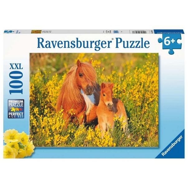 Ravensburger puzzle - Shetland Pony - 100 delova