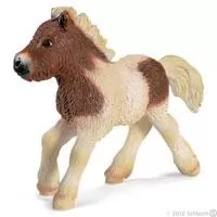 Schleich Domaće životinje - Šetlandski poni, ždrebe 13608