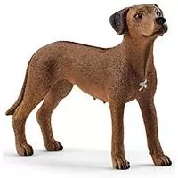 Schleich Figure Domaće životinje - Pas Rodezijski ridžbek 13895