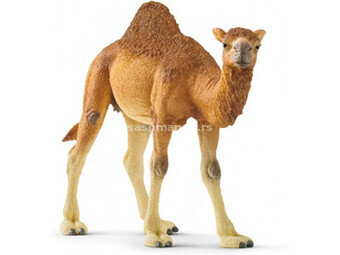 Schleich Kamila 14832