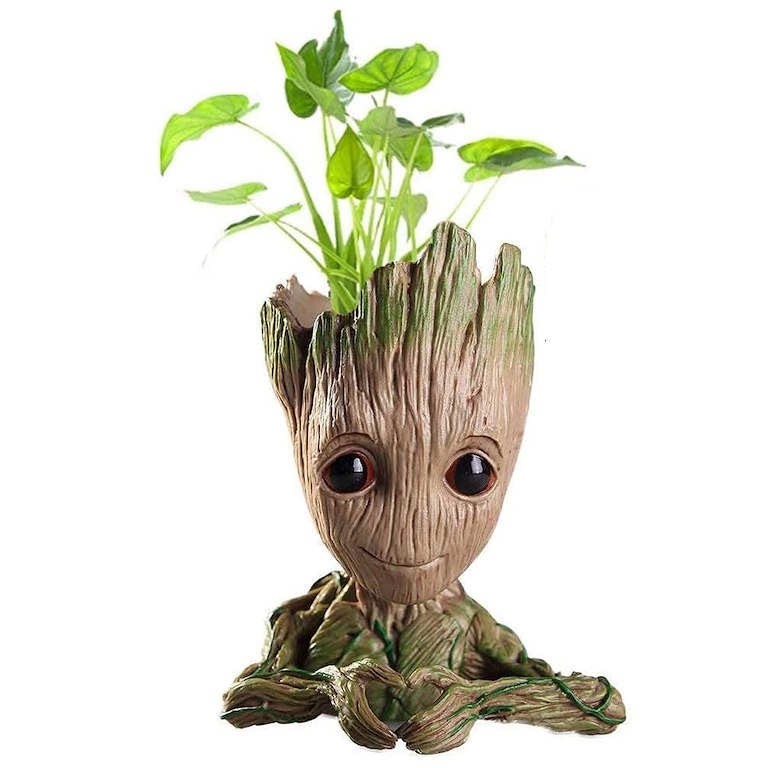 Groot Saksija Srce