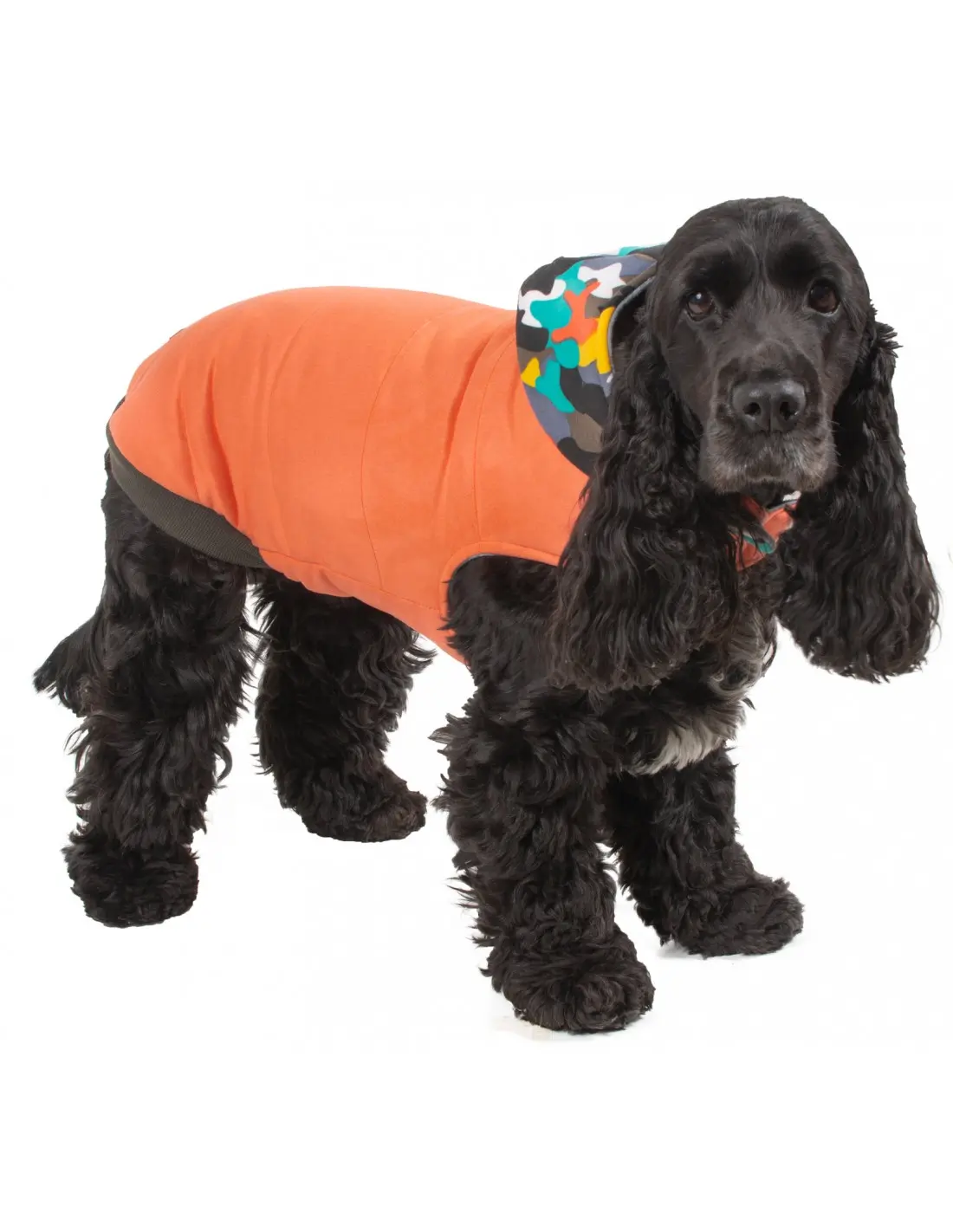 FARM COMPANY Zimska jakna za pse narandžasta