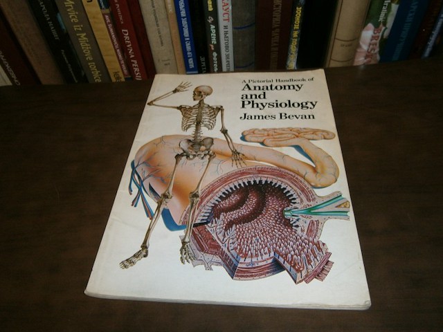 James Bevan - Anatomy and Physiology