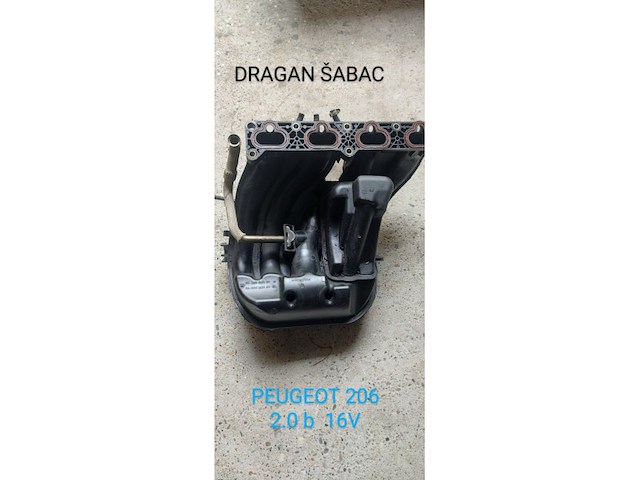 Peugeot 206 usisna grana 2.0 b 16V 9641562980