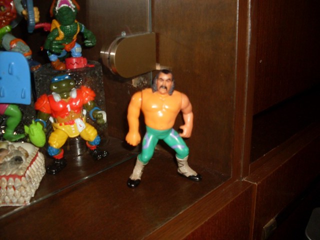 WWF Jake The Snake Roberts