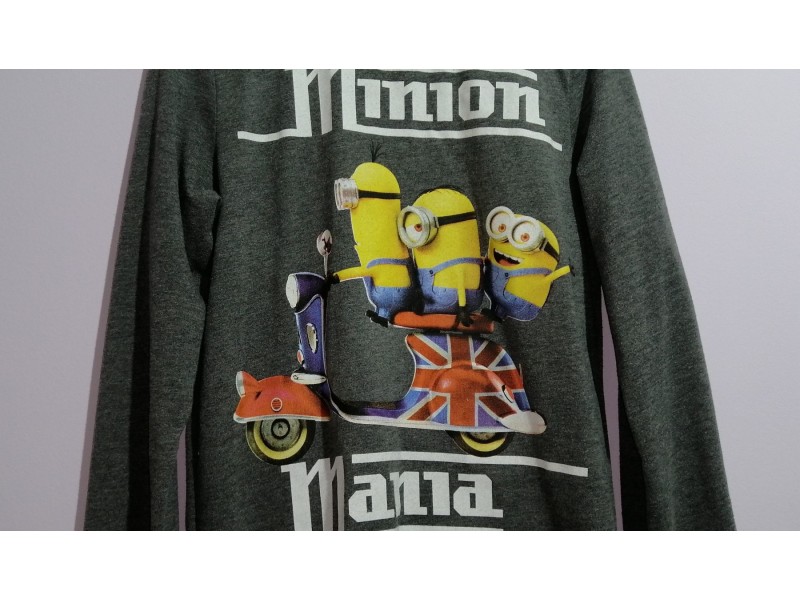 MINIONS DUKS