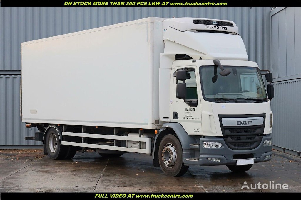 DAF LF 310, EURO 6, TAIL LIFT, THERMO KING T800 R kamion hladnjača