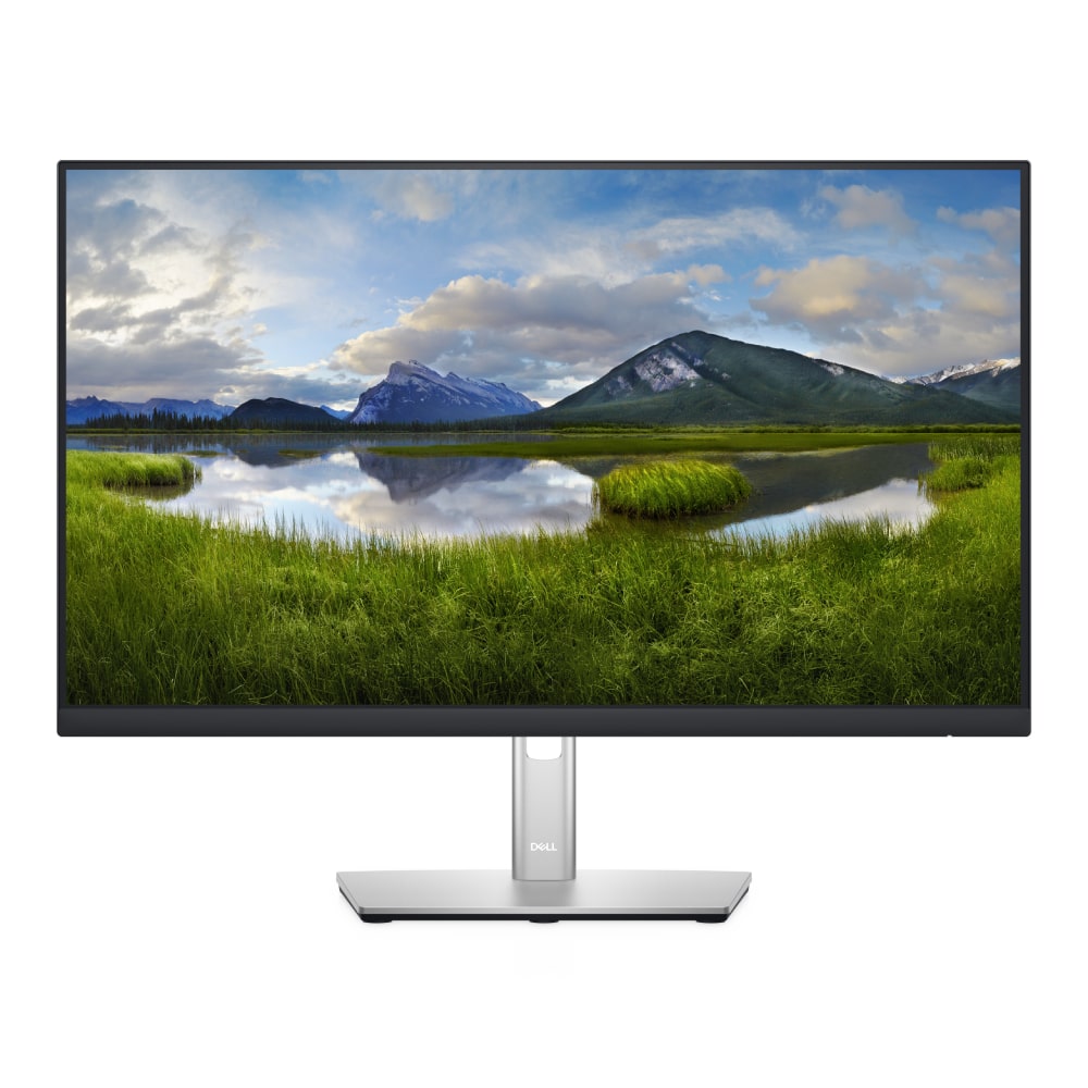 DELL 24" IPS P2422H Monitor