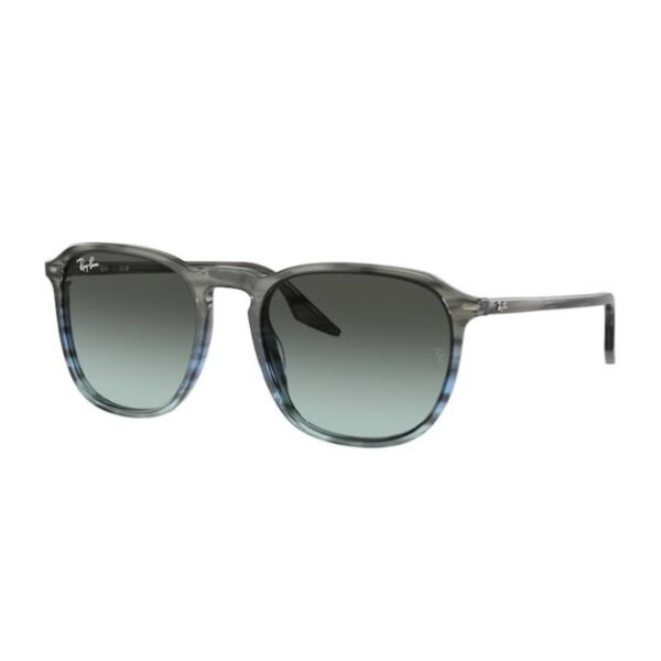 Ray Ban RB2203-1391GK 55