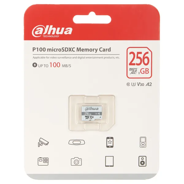 Dahua TF-P100/256GB