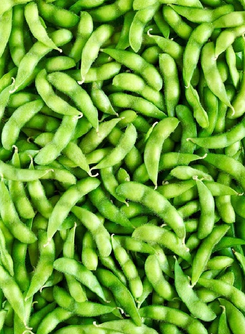 EDAMAME ZAMRZNUTE 1KG (MLADA SOJA U OPNI)