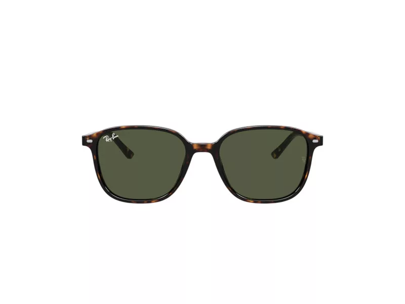 Ray-Ban Leonard Naočare za sunce RB 2193 902/31