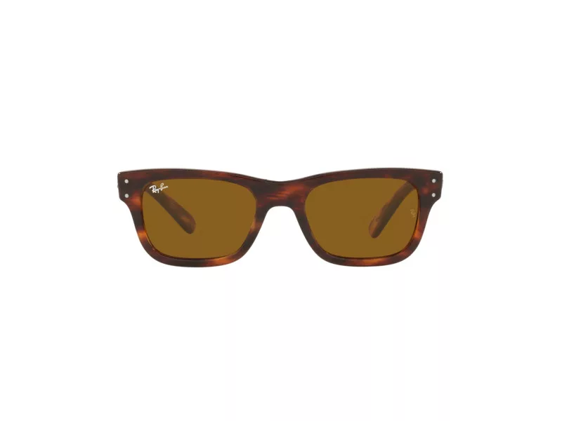 Ray-Ban Mr Burbank Naočare za sunce RB 2283 954/33