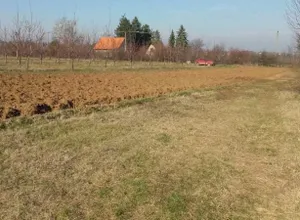 Prodaja Građevinsko zemljište - Inđija, Čortanovci