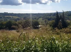 Prodaja Građevinsko zemljište - Petrovaradin, Sremska Kamenica