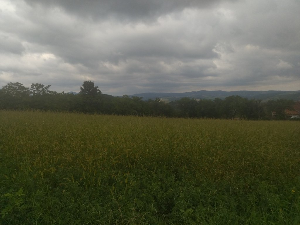 Poljoprivredno zemljište u Rogojevcu