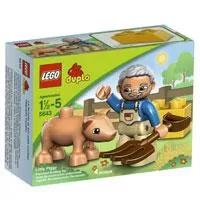 LEGO® DUPLO® Prasence LE5643