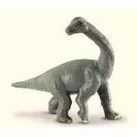 Collecta Dinosaurus beba Brahiosaurusa CT88200