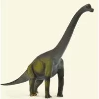 Collecta Dinosaurus Braciosaurus CT88121