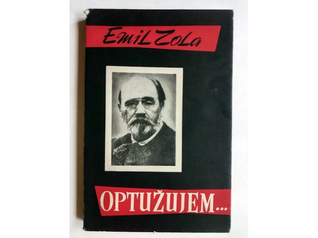Emil Zola, OPTUŽUJEM