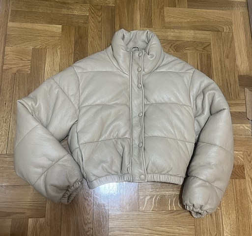 Zara jaknica zimska