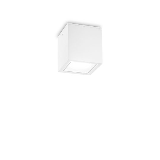 IDEAL LUX plafonjera TECHO PL1 SMALL BIANCO – 251561