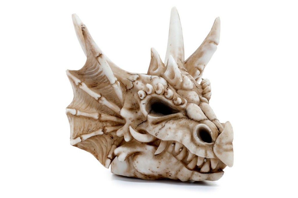 Kasica prasica – Dragon Skull