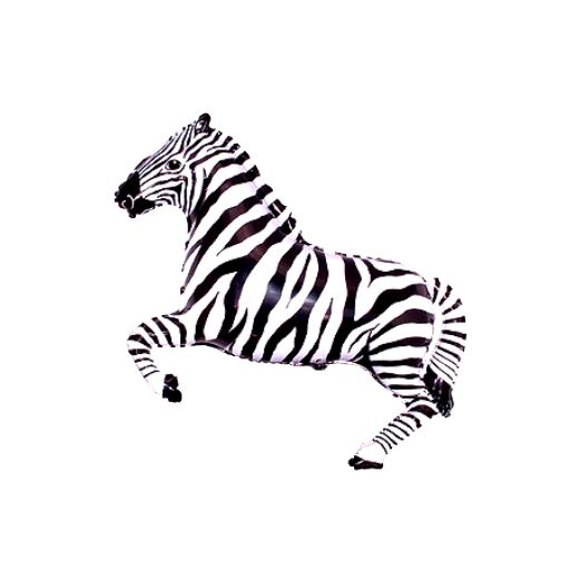 Mini zebra crna