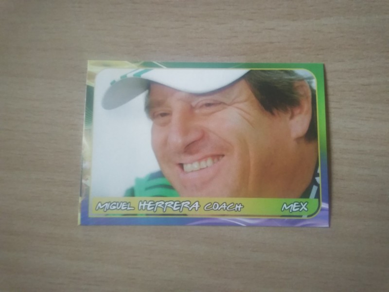 Svetsko fudbalsko prvenstvo 2014 sličica broj 42