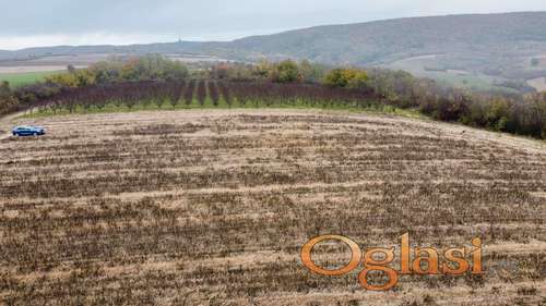 Poloprivredno zemljište Neradin 9000 m2 HITNO!