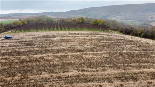 Poljoprivredno zemljište Neradin 9000 m2 hitno