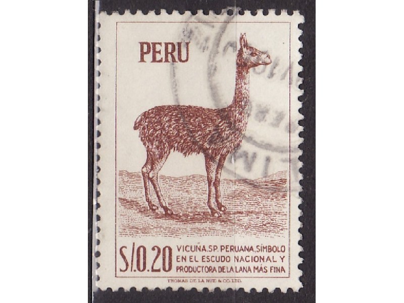 Peru - lama