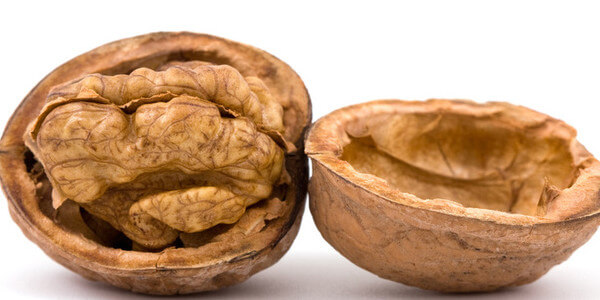 Orah Jupiter