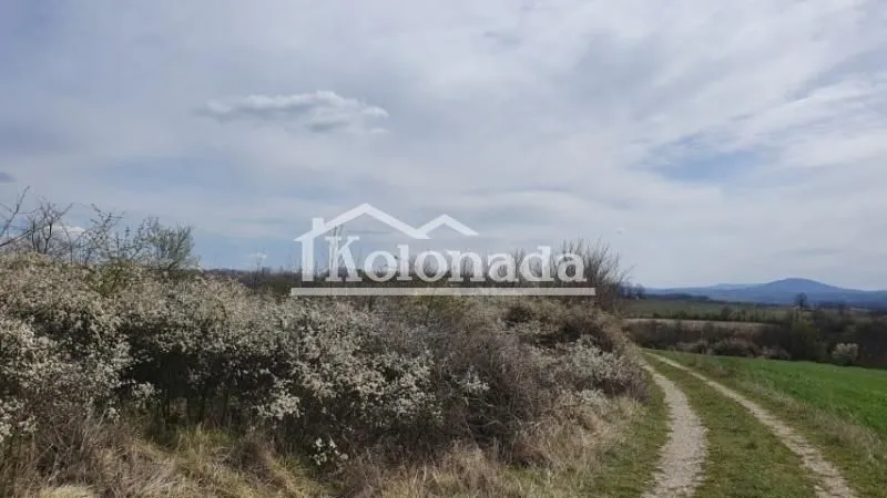 Prodaja, zemljište, 50000m2, Sopot, Beograd