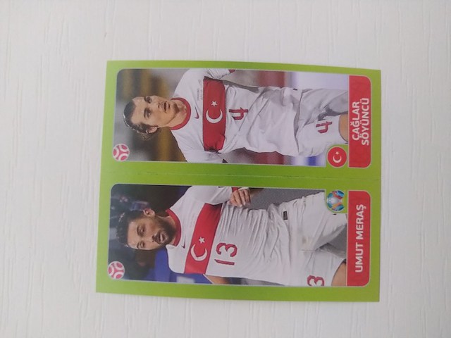 Panini EURO 2020 tournament edition sličica broj 084