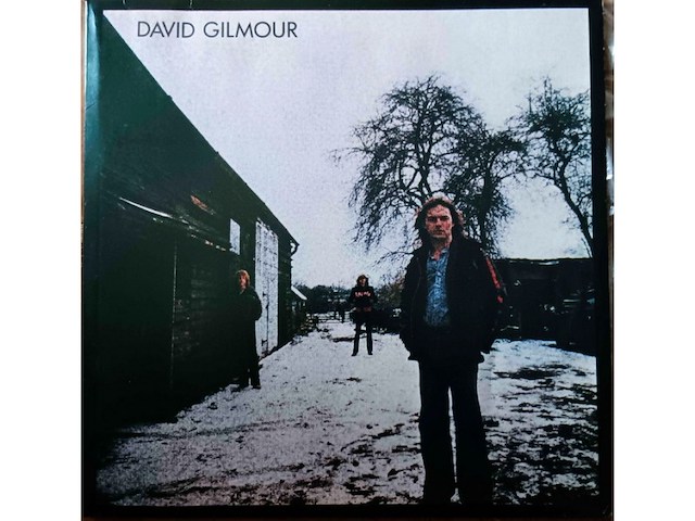 David Gilmour-David Gilmour Gatefold LP (1978)