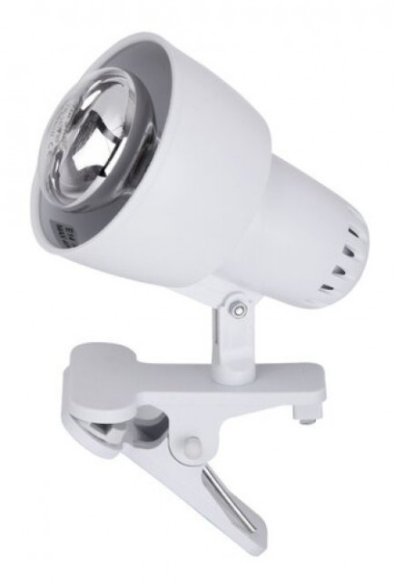 Rabalux Clip lampa ( 4356 )