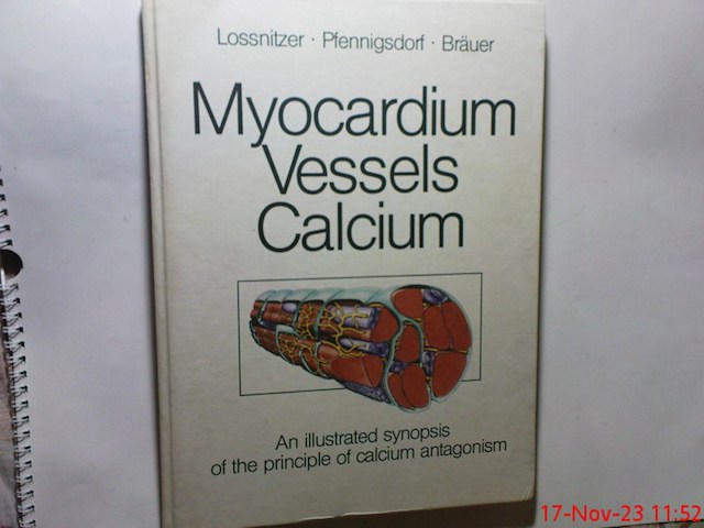MYOCARDIUM VESSELS CALCIUM - LOSSNITZER
