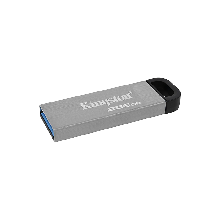 KINGSTON USB Flash memorija 256GB DTKN/256GB USB 3.2 Gen 1 (USB 3.0), 256GB , do 200 MB/s, Siva