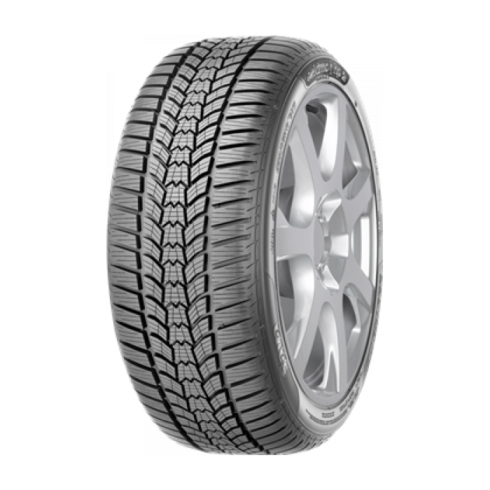 205/55R16 ESKIMO HP2 91H