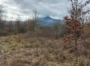 Prodaja Građevinsko zemljište - Boljevac, Centar