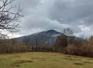 Prodaja Građevinsko zemljište - Boljevac, Centar