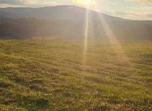 Prodaja Građevinsko zemljište - Beograd, Sopot: Nemenikuće